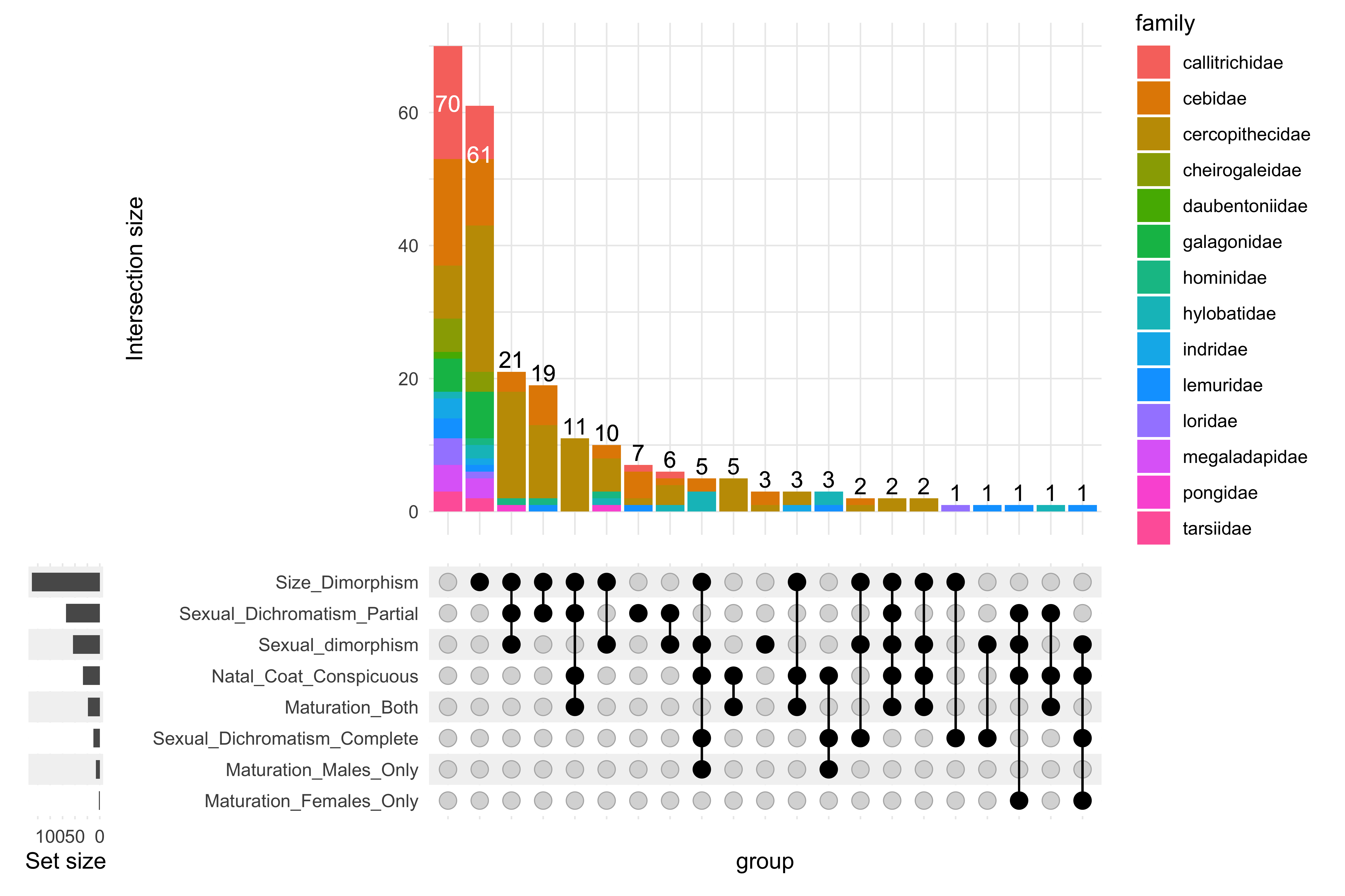 updated_names_analysis